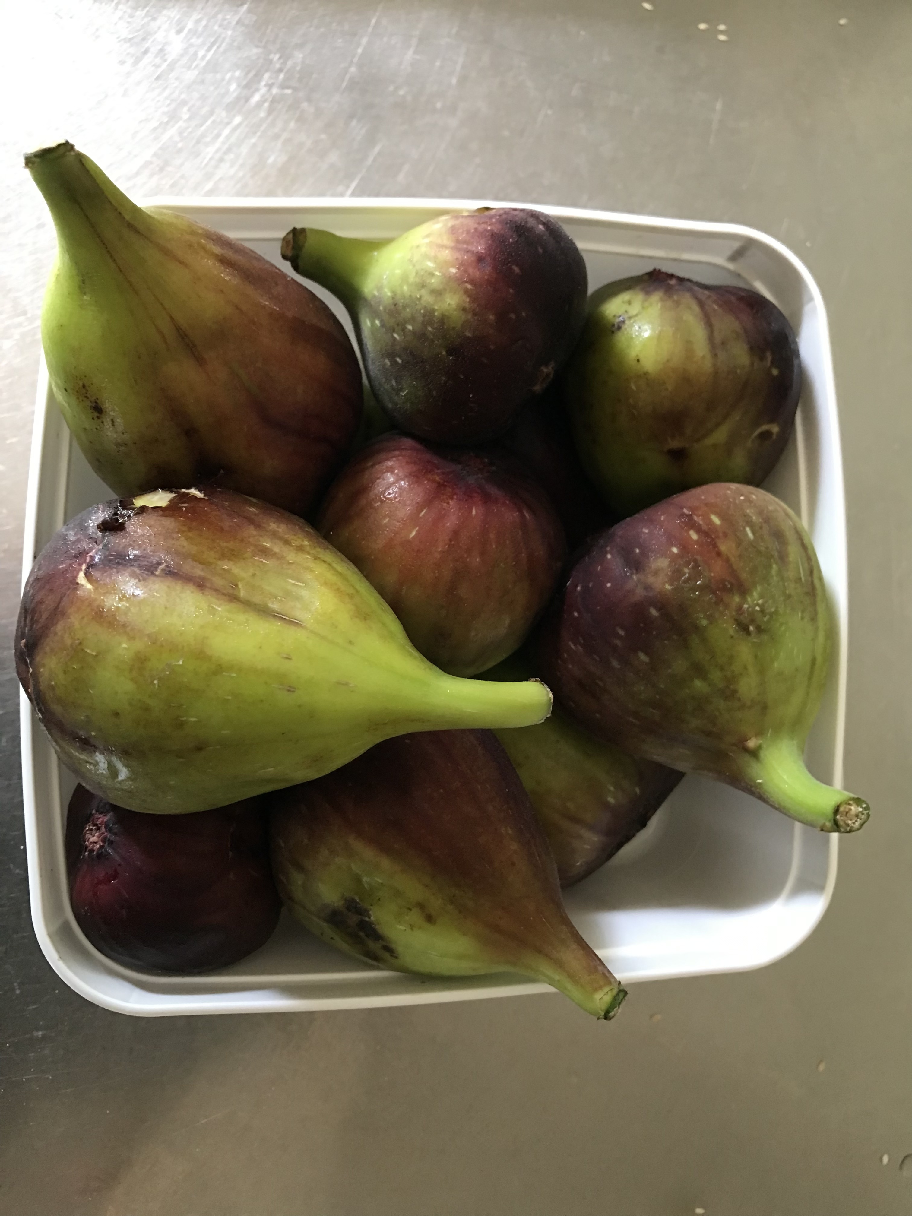 Figs and Flock – Now Hear this.